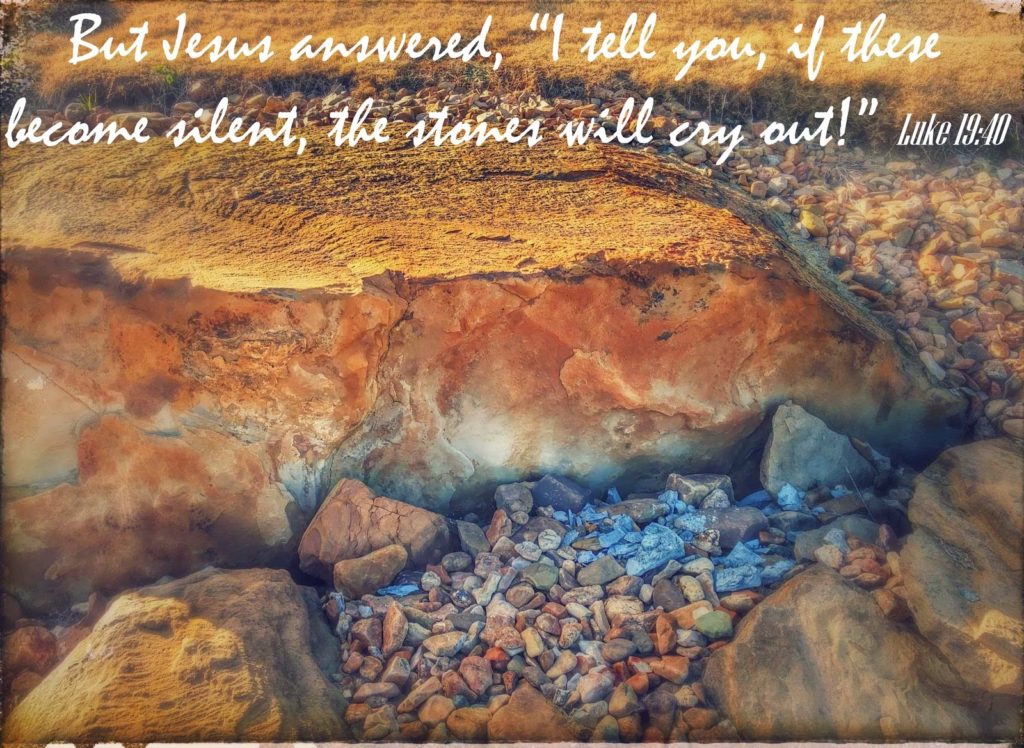 If These Become Silent, the Stones Will Cry Out - My Peace Zone