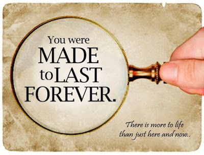 Made to Last Forever - My Peace Zone