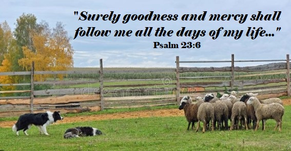 Followed by Goodness and Mercy - My Peace Zone