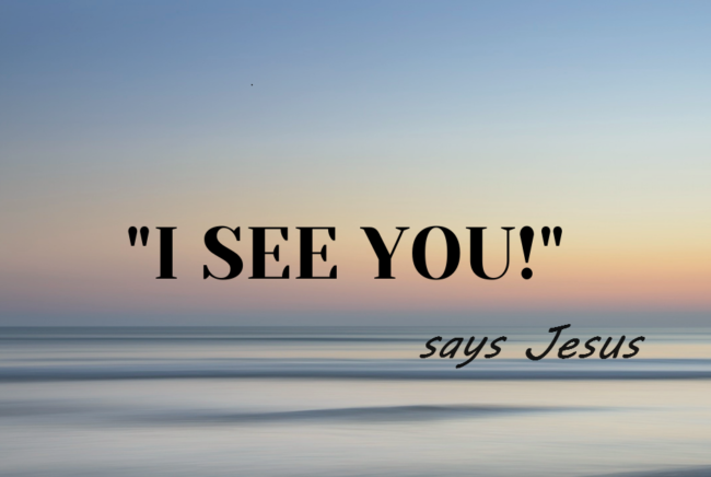 Happy Palm Sunday! What Did Jesus See? - My Peace Zone